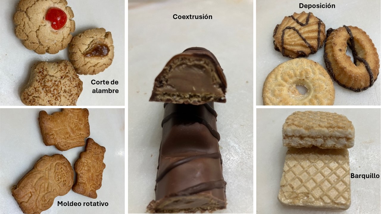 Galletas I. Tipos de galletas – Innograin